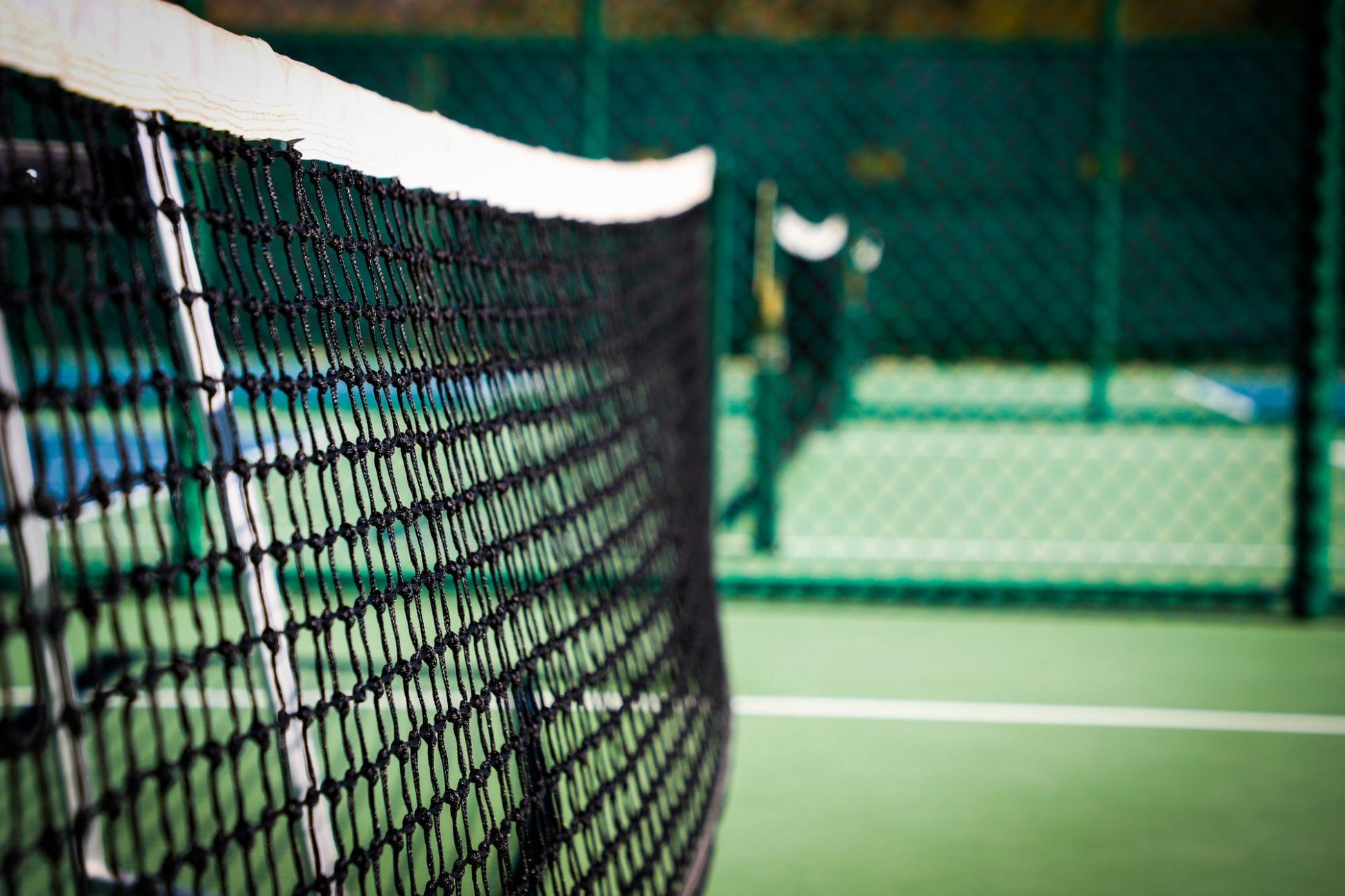 Siapa Saja Para Petenis Indonesia Terbaik? | Superprof